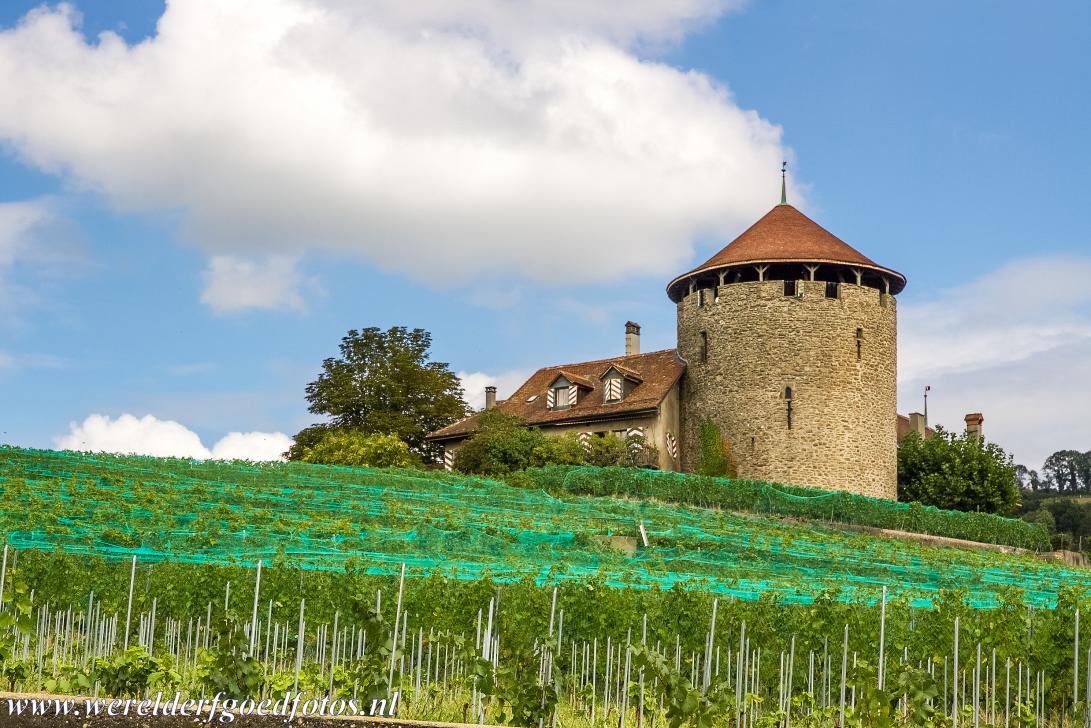 World Heritage Photos - Lavaux, Vineyard Terraces